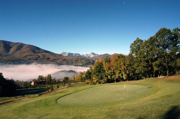 Golfe