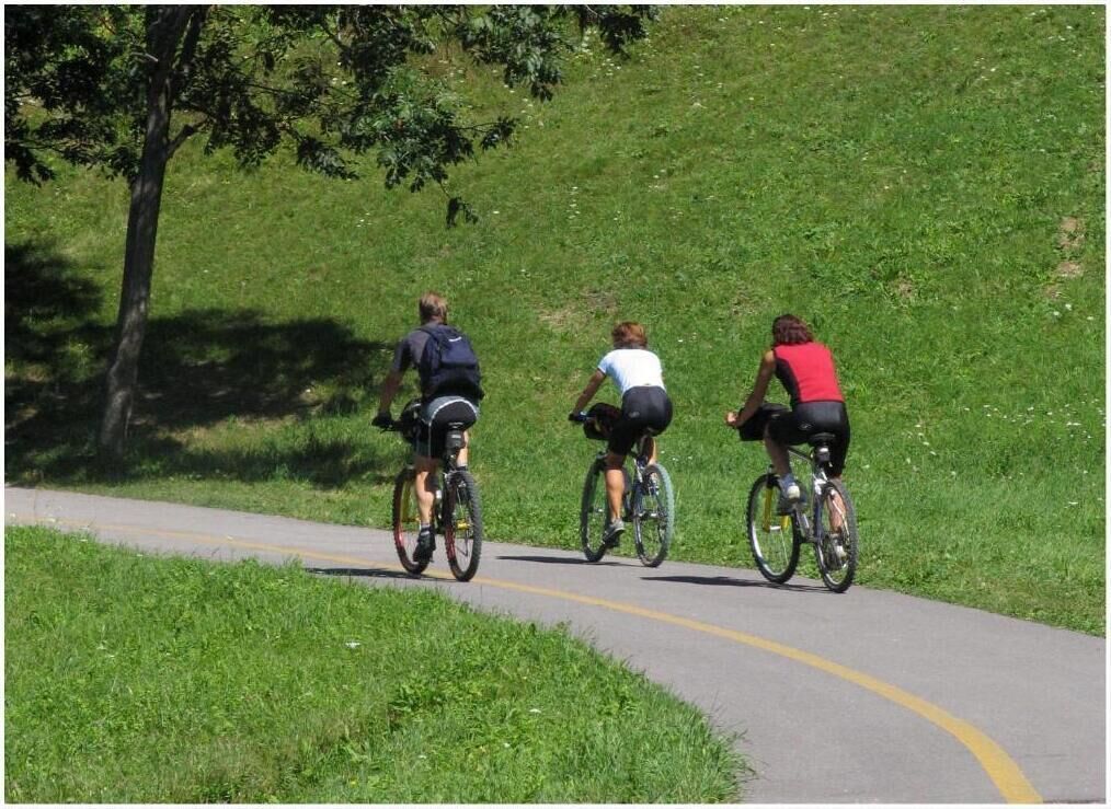 Três ciclistas em um caminho pavimentado, com grama de ambos os lados.