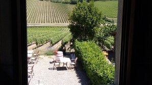 Vista da janela mostrando um vinhedo com fileiras de videiras, uma área de cascalho com mesas e cadeiras, e uma árvore ao primeiro plano.