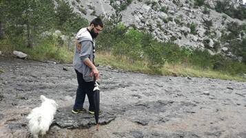 Uma pessoa em uma praia rochosa com um cachorro, segurando um guarda-chuva.