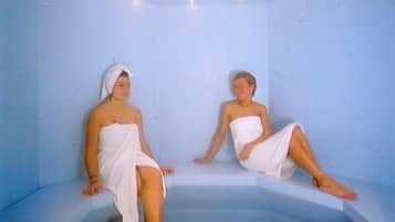 Sauna seca, banheira de hidromassagem, sauna a vapor