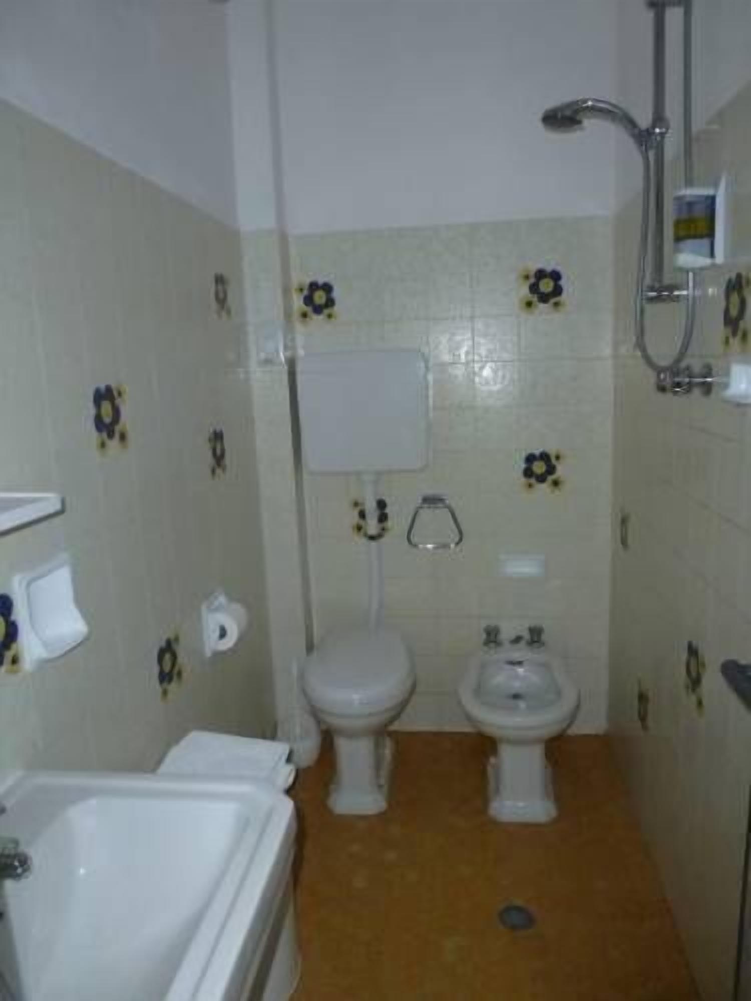 Casa de banho pequena com sanita, bidé e chuveiro.