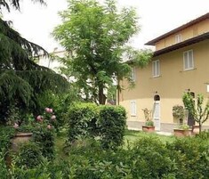 Um pátio com uma grande árvore, um edifício de fachada amarela e plantas em vasos.
