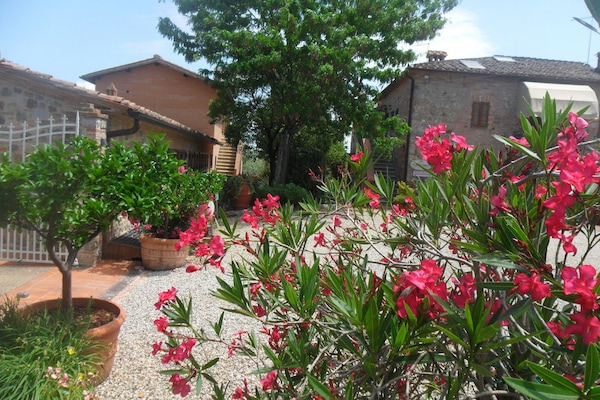 Jardim