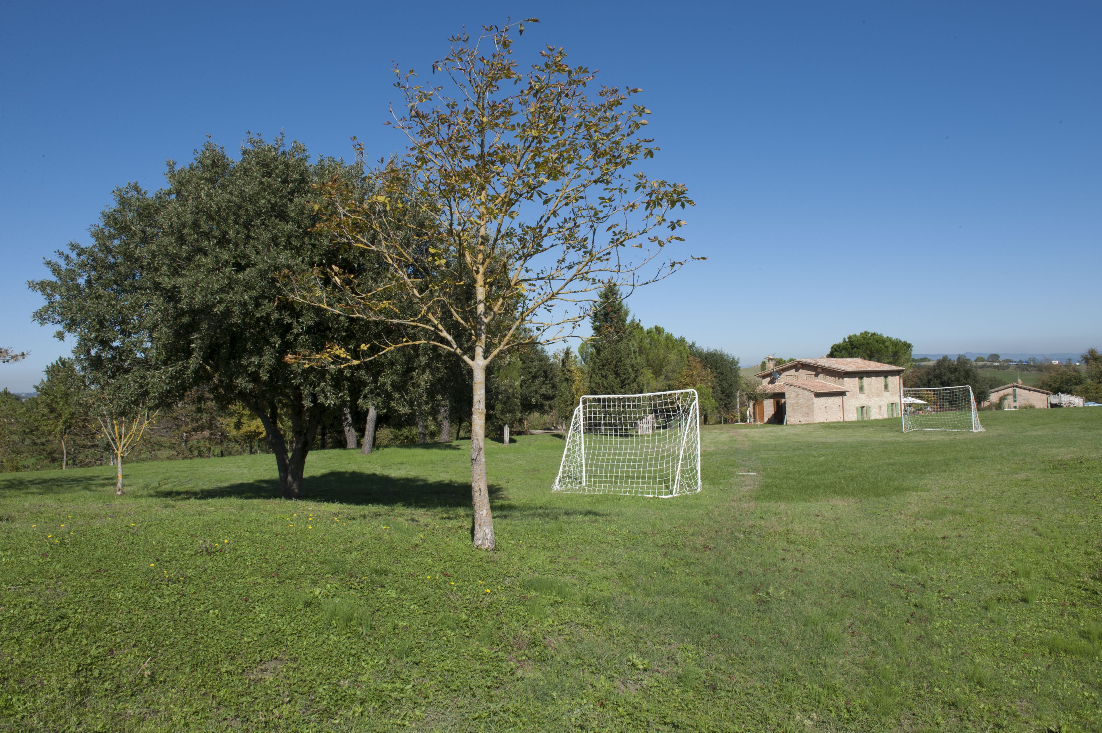 Um campo gramado com um gol de futebol, uma árvore e um edifício ao fundo.