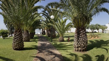 Jardim