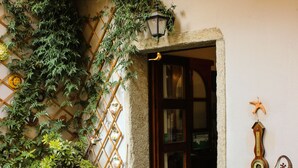 Uma escadaria com corrimão de madeira leva a uma porta, cercada por plantas em vasos e um relógio fixado na parede.