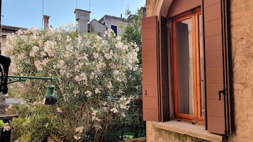 Vista da propriedade