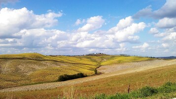 Paisagem rural com colinas ondulantes, estrada de terra e cerca.