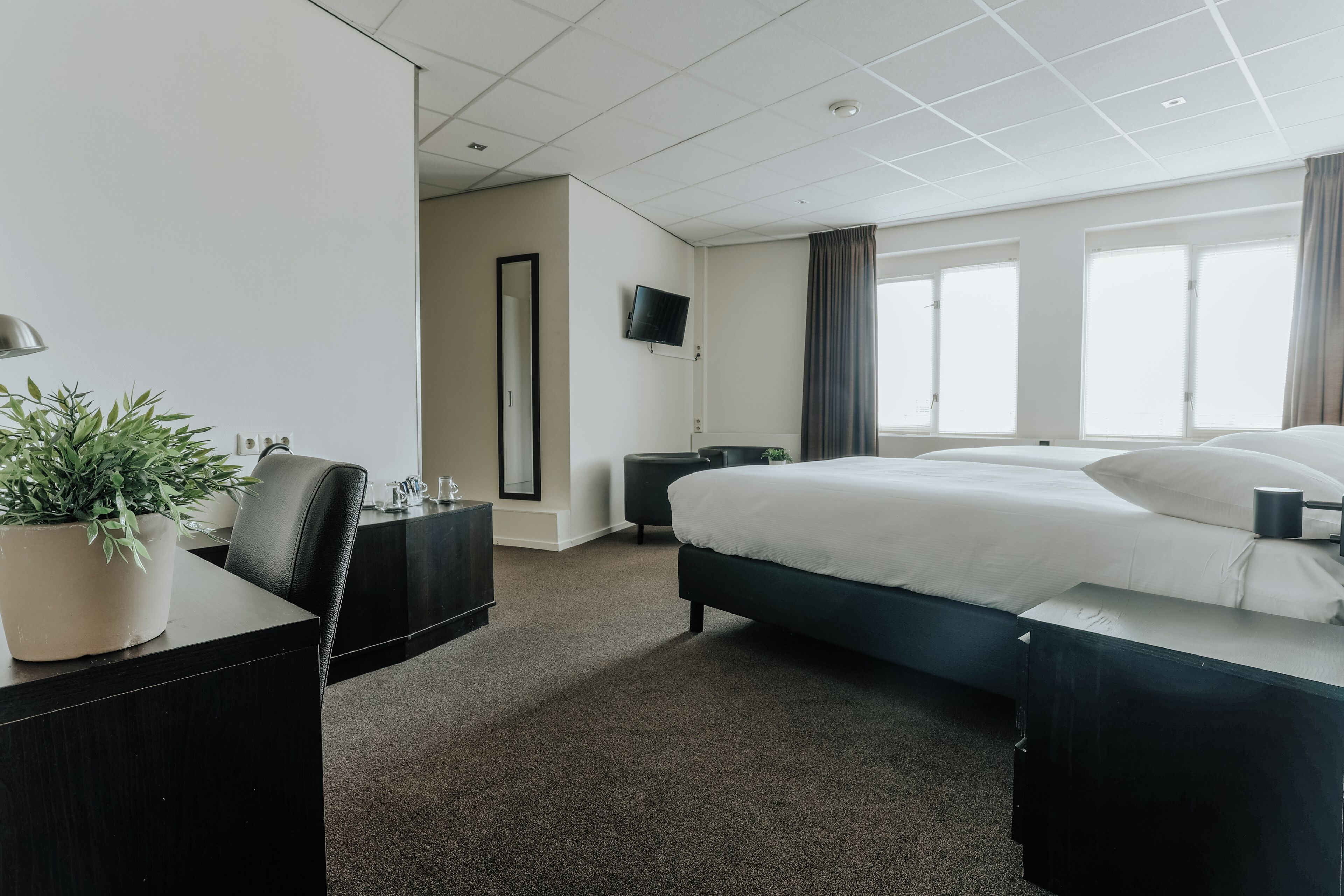 Quarto de hotel com uma cama grande, uma escrivaninha com cadeira, televisão na parede e um vaso de planta.