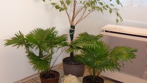 Canto de um quarto com uma planta em vaso, um radiador e pedras espalhadas.