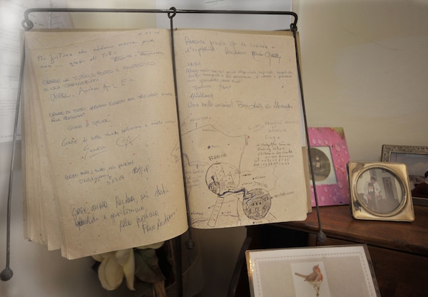 Il Pettirosso Di Siena - Siena