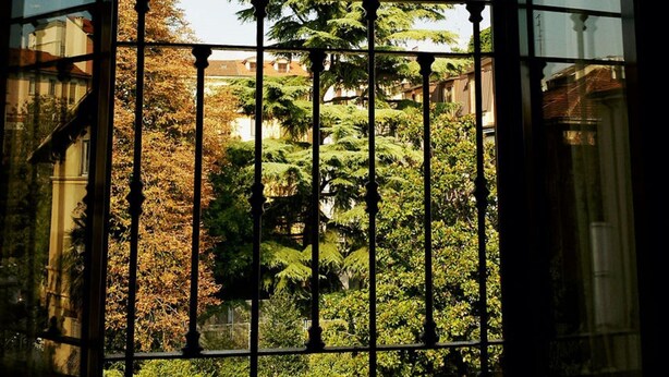 Quarto triplo | Vista do quarto