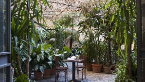 Um espaço de pátio com mesa e cadeiras, rodeado por plantas em vasos e piso de pedras.