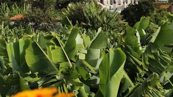 Terrenos do alojamento