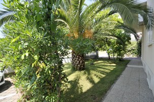 Jardim