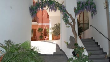 Terrenos do alojamento