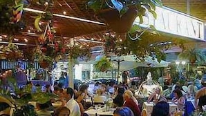 Restaurante acolhedor e movimentado com mesas, cadeiras e plantas penduradas, com uma placa visível.