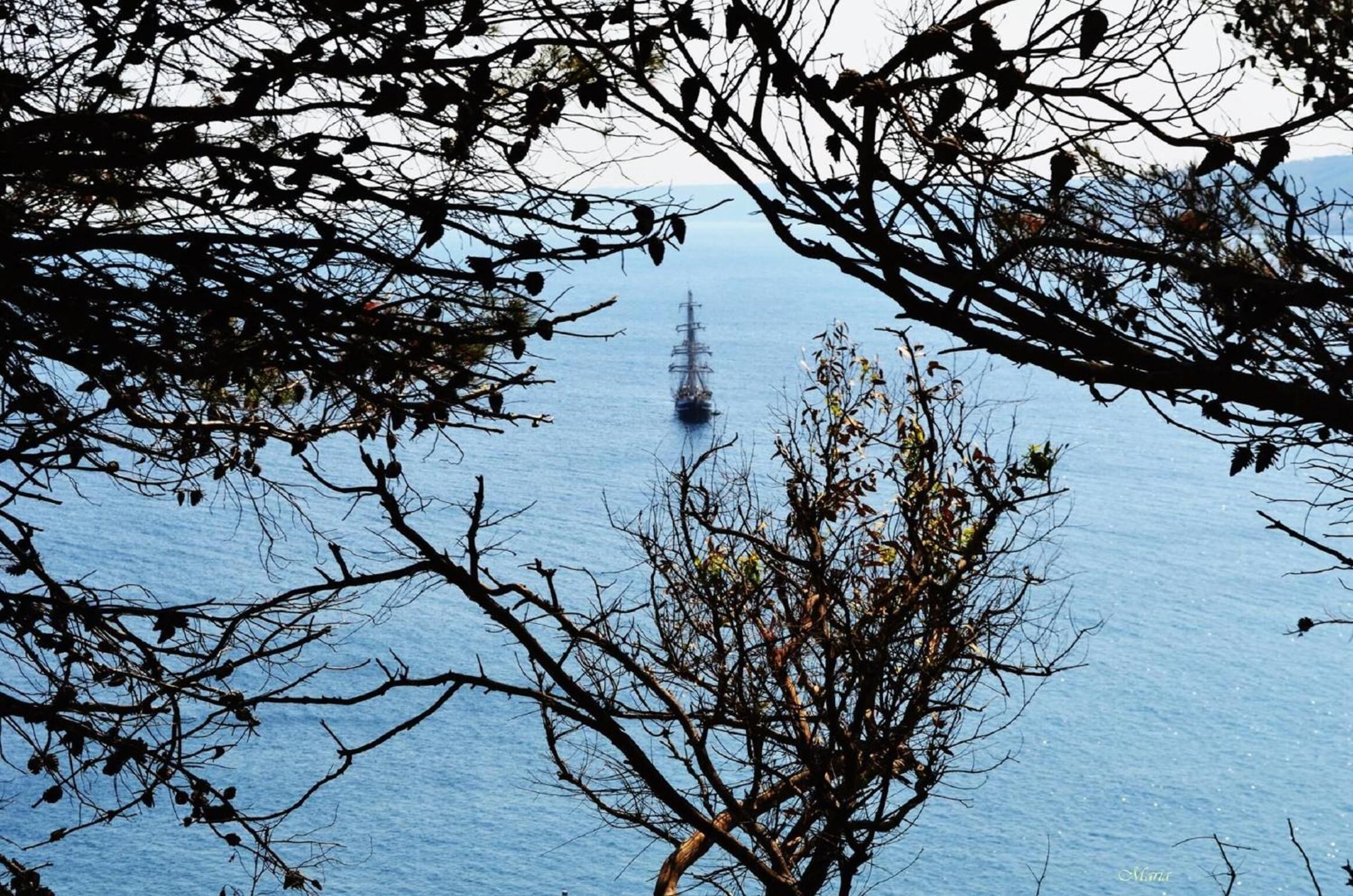 Um navio na água, rodeado por árvores.