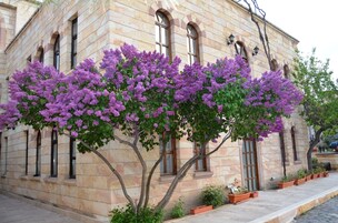 Fachada do alojamento