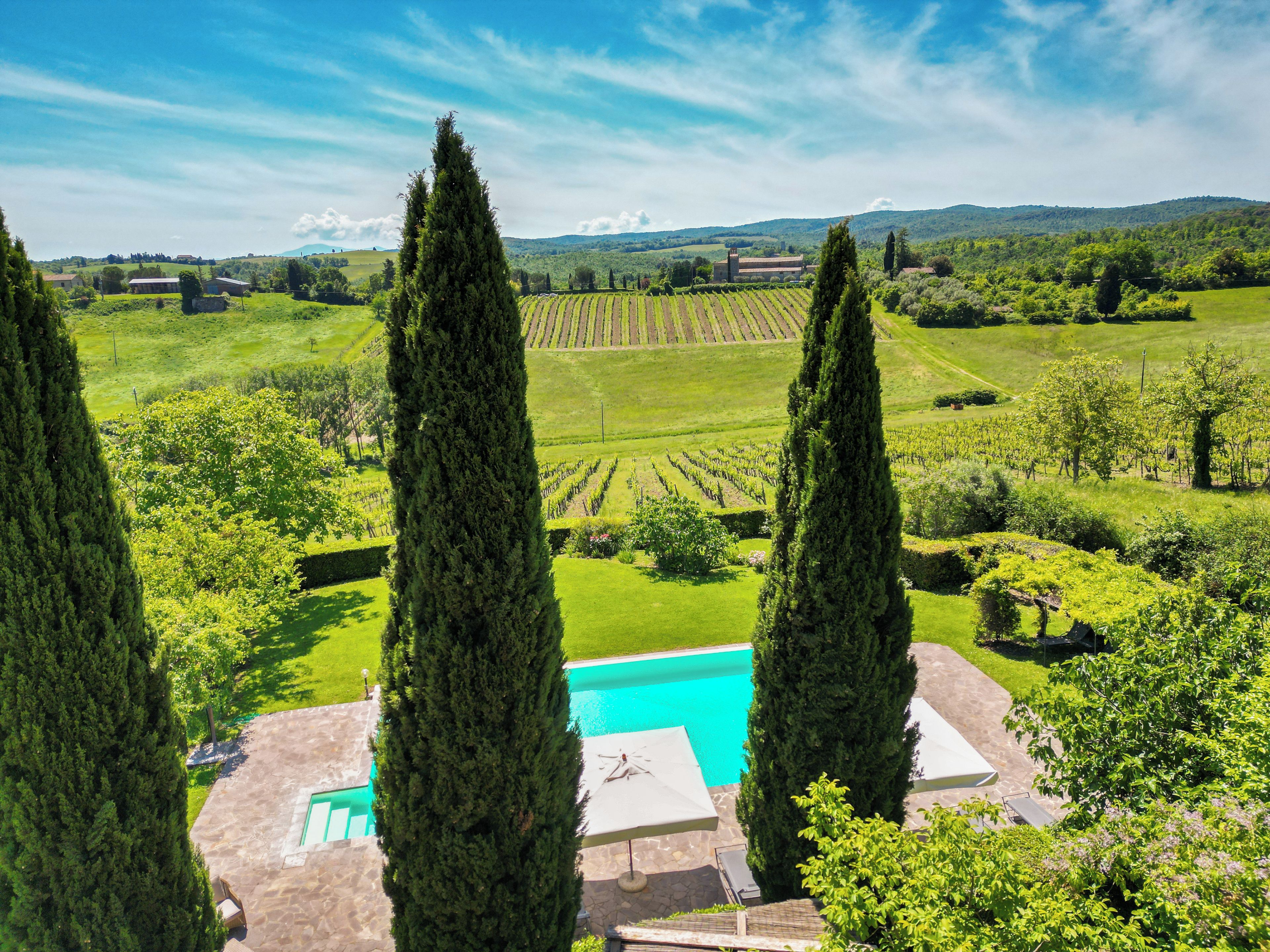 Vinhedo com fileiras de videiras, piscina e altas árvores de cipreste.