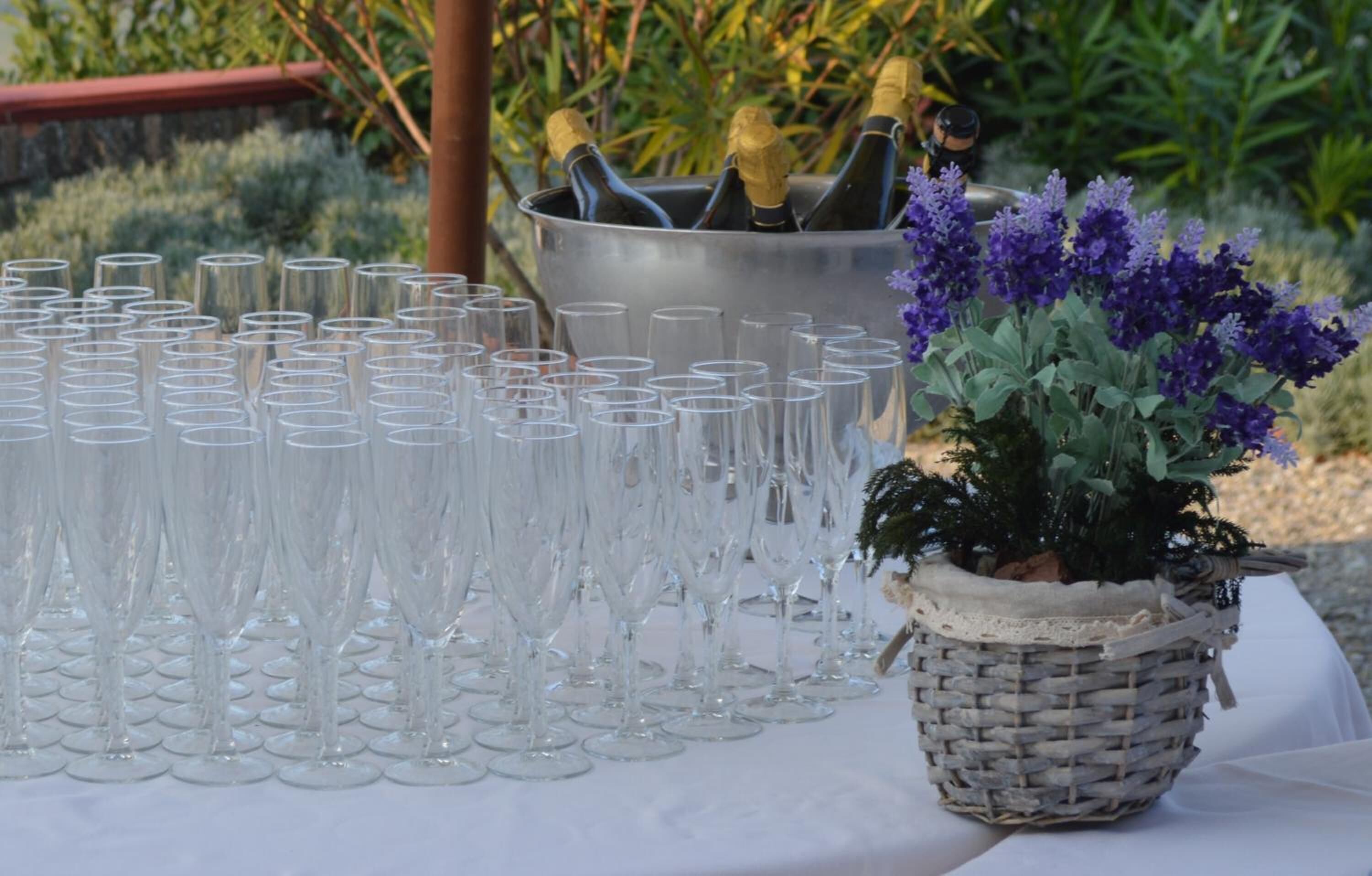Uma mesa com vários copos de vinho vazios dispostos em fileiras, um balde com garrafas de champanhe e um vaso de plantas com flores roxas.
