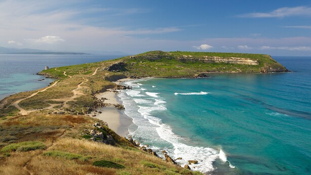 Paisagem costeira com praia arenosa, colina gramada e mar azul cristalino.