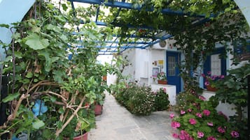 Jardim