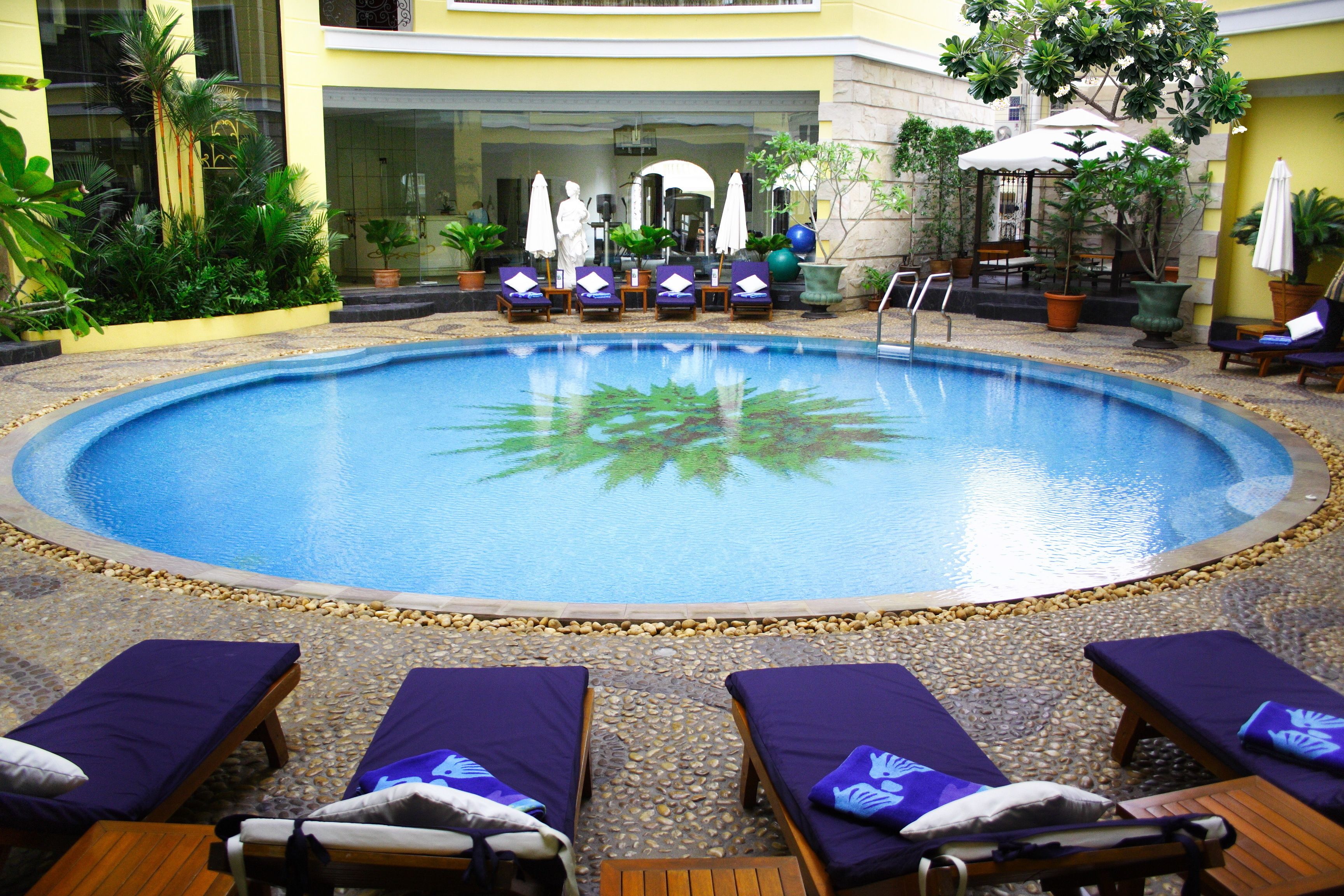 Piscina com espreguiçadeiras e guarda-sóis, rodeada por plantas em vasos e um edifício ao fundo.
