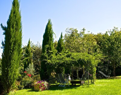 Lionforti da Vico B&B and Apartments