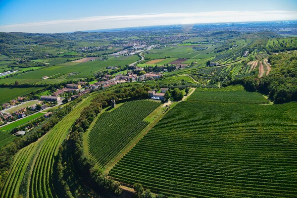 Tenuta Delo Relais - Verona