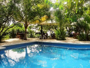 Piscina externa, funciona das 8h às 20h, espreguiçadeiras