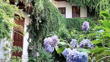 Jardim