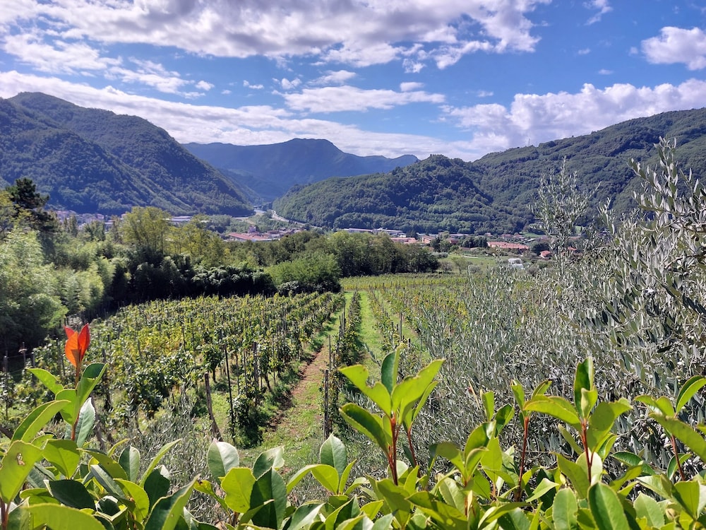 Agriturismo Tenuta La Fratta - Bagni di Lucca