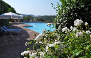 Uma área à beira da piscina com espreguiçadeiras e guarda-sóis, rodeada por vegetação exuberante e flores brancas.