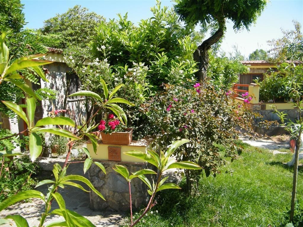 Um jardim com diversas plantas e flores, um muro de pedra e um pequeno edifício com fachada amarela.