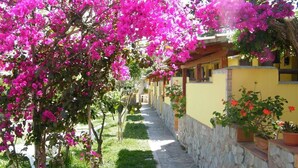 Um caminho flanqueado por árvores de bougainvillea e um edifício amarelo com paredes de pedra.