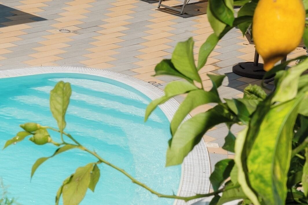 Piscina com deck revestido e uma planta em primeiro plano.