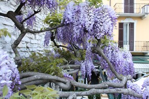 Terraço/pátio interior