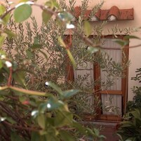 Pormenores do exterior