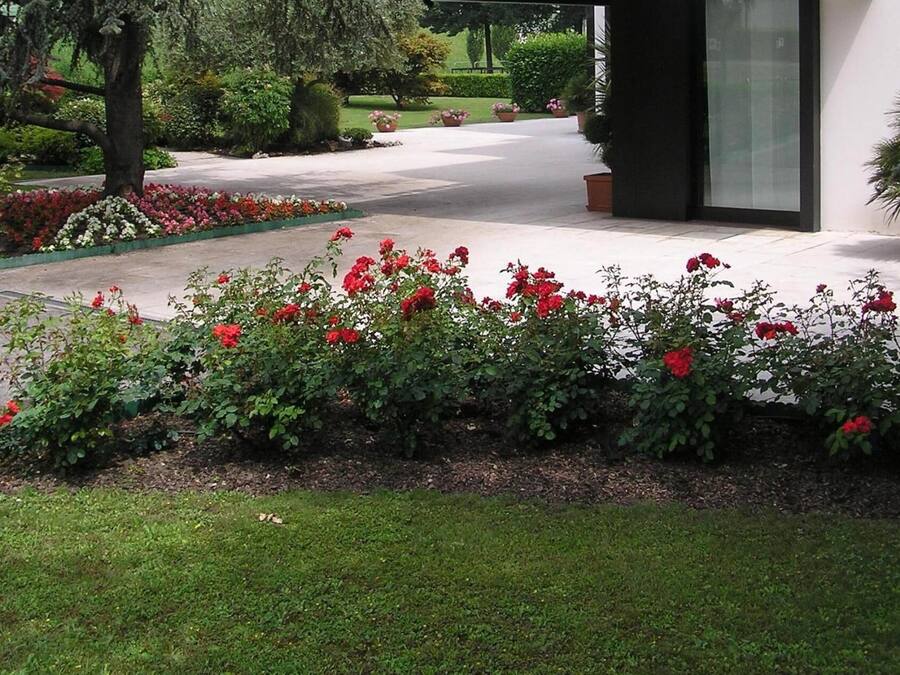 Um jardim ajardinado com diversas flores e arbustos, um caminho pavimentado e um edifício com entrada de vidro.