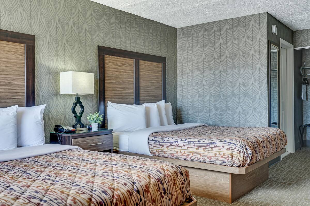 Quarto de hotel com duas camas, uma mesa de cabeceira com abajur, uma pequena planta e um espelho.