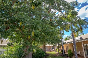 Área da propriedade