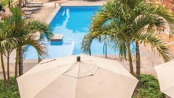 Piscina exterior, guarda-sóis, espreguiçadeiras