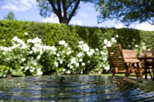 Comodidades da propriedade