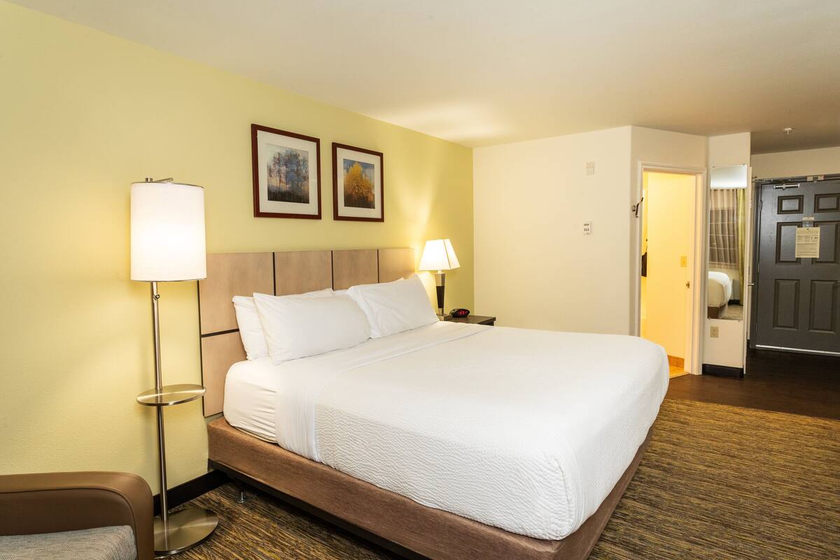 Quarto de hotel com uma cama grande, duas luminárias laterais e um quadro na parede.