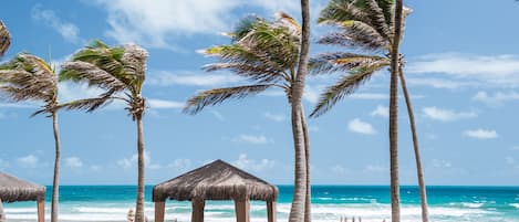Uma praia com palmeiras, um abrigo de palha e espreguiçadeiras.
