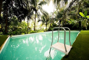 Piscina com escada de metal, cercada por vegetação exuberante e palmeiras.