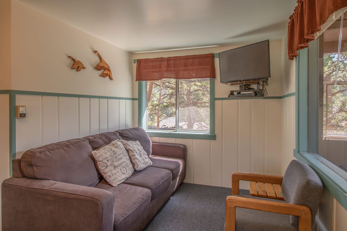 Quarto com sofá, uma cadeira de madeira, televisão na parede e janela com vista para árvores.