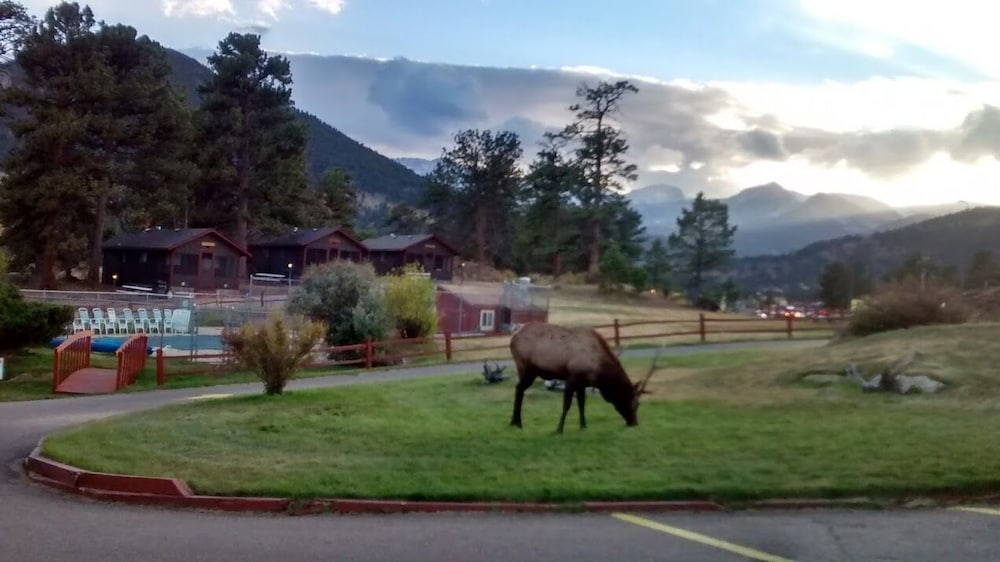 Brynwood On The River - Estes Park, CO